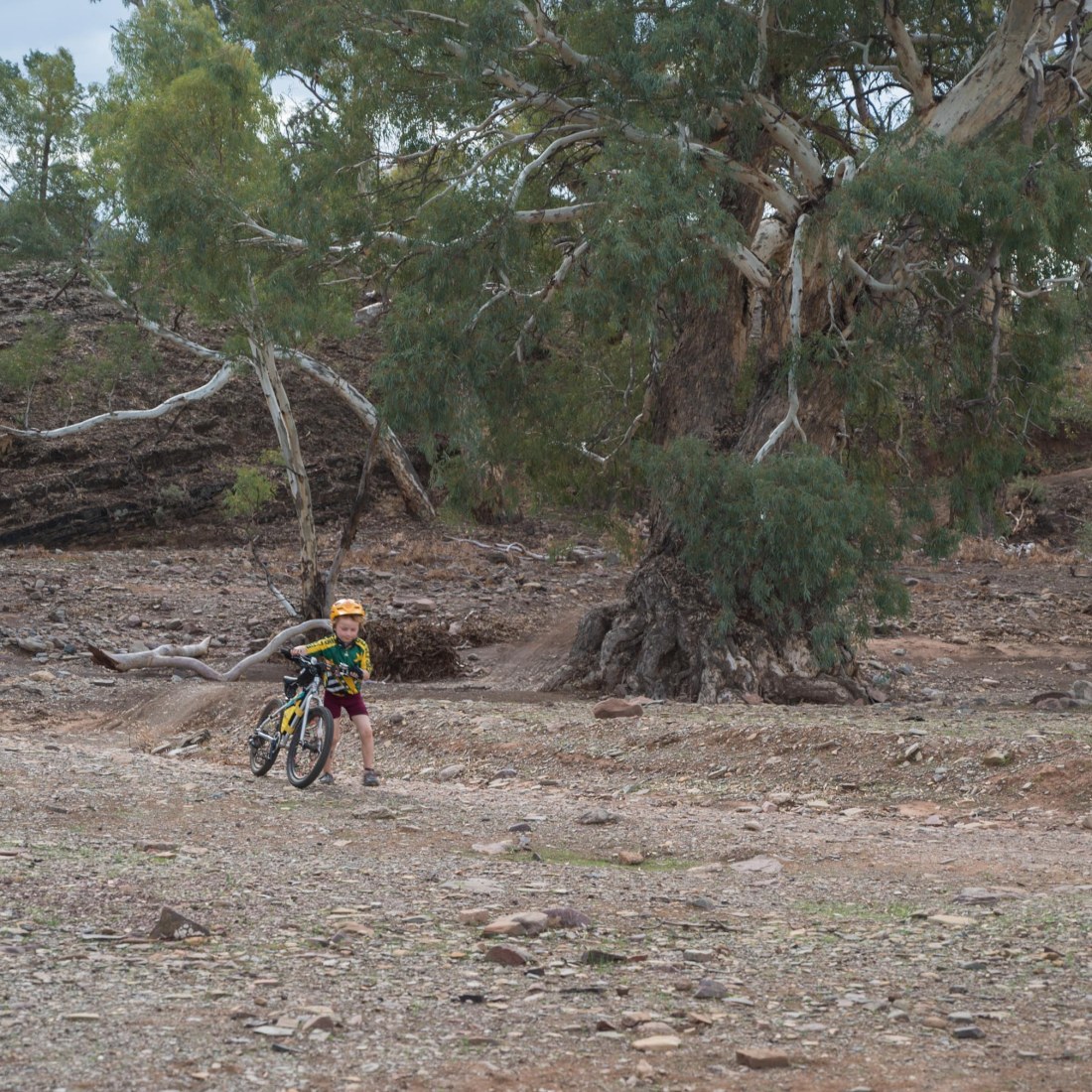 Mawson Trail: Gallery – bicyclenomad